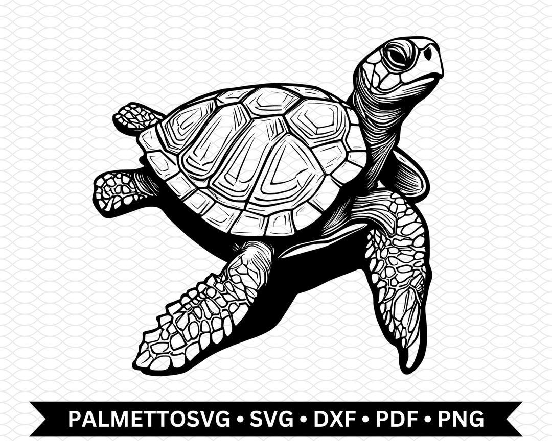 Turtle Svg, Turtle Dxf, Turtle Cut File, Turtle Png, Svg Files for ...