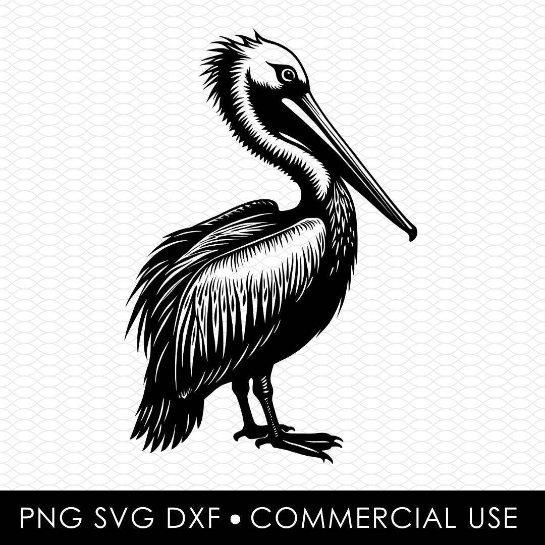 Pelican Svg, Pelican Png, Pelican Sublimation Designs, Png Designs, Svg ...