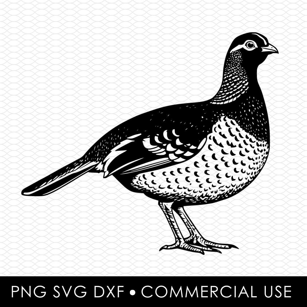 Quail Svg, Quail Png, Quail Sublimation Designs, Png Designs, Svg ...