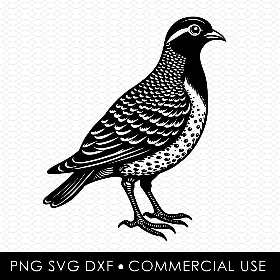 Quail Svg, Quail Png, Quail Dxf, Quail Cut File, Sublimation Designs ...