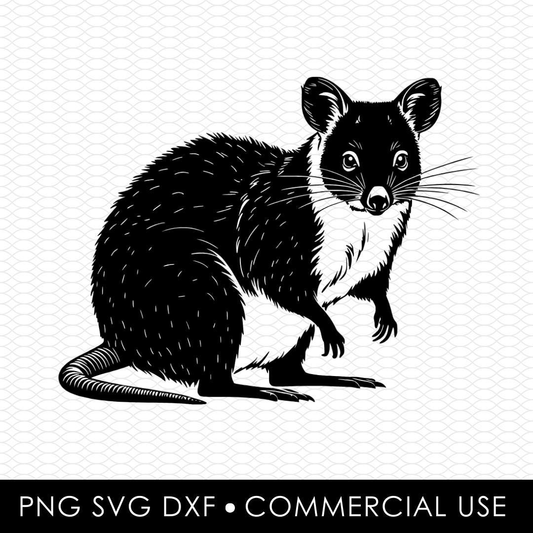 Possum Svg Png, Possum Svg, Possum Png, Possum Dxf, Sublimation Designs ...