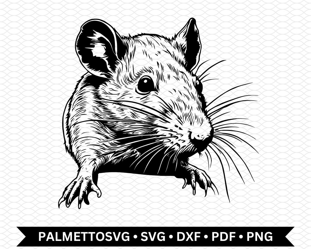 Rat Svg, Rat Dxf File, Rat Cut File, Rat Png, Rat Cut File, Svg Files ...
