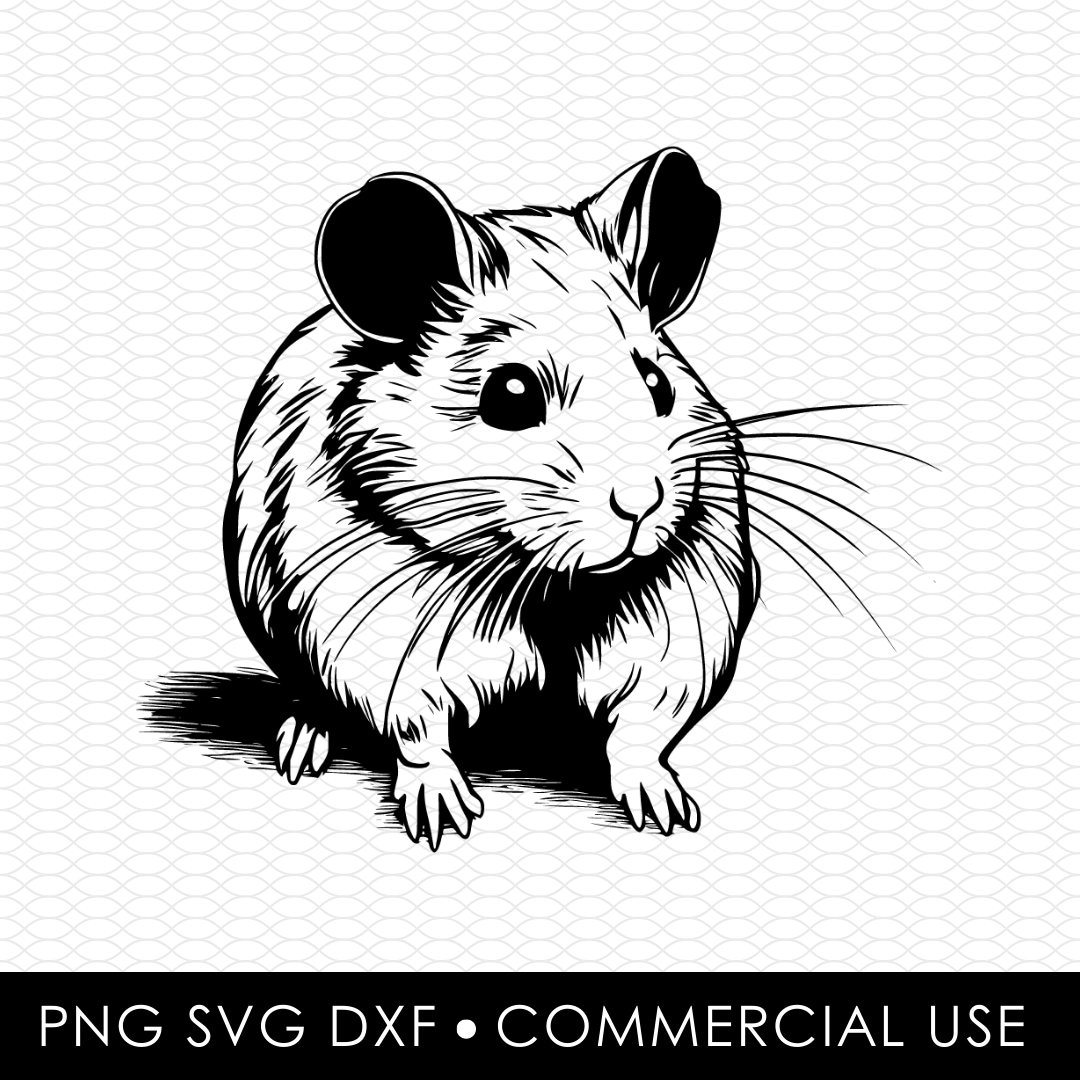 Hamster Svg, Hamster Png, Hamster Sublimation Designs, Hamster Png ...