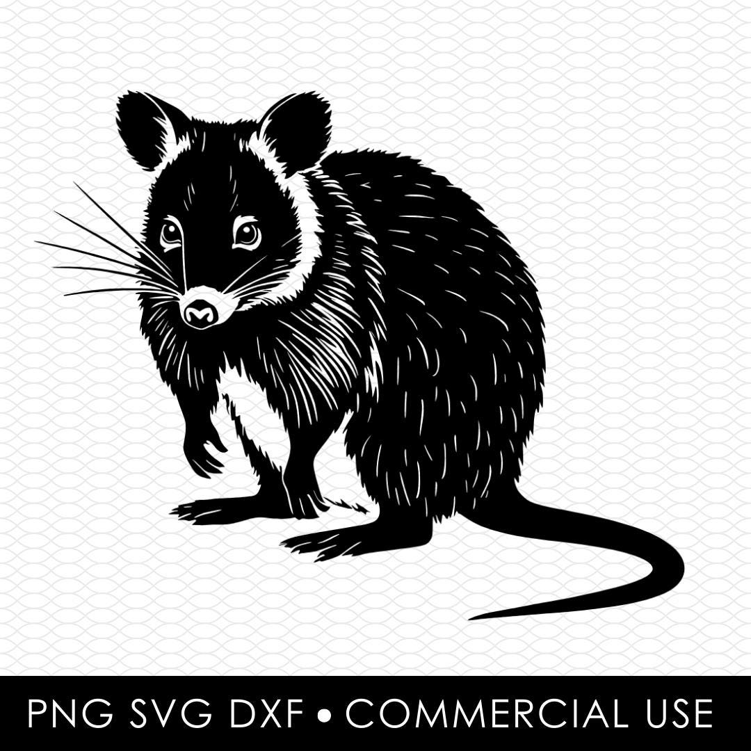 Possum Svg Png, Possum Svg, Possum Png, Possum Dxf, Sublimation Designs ...