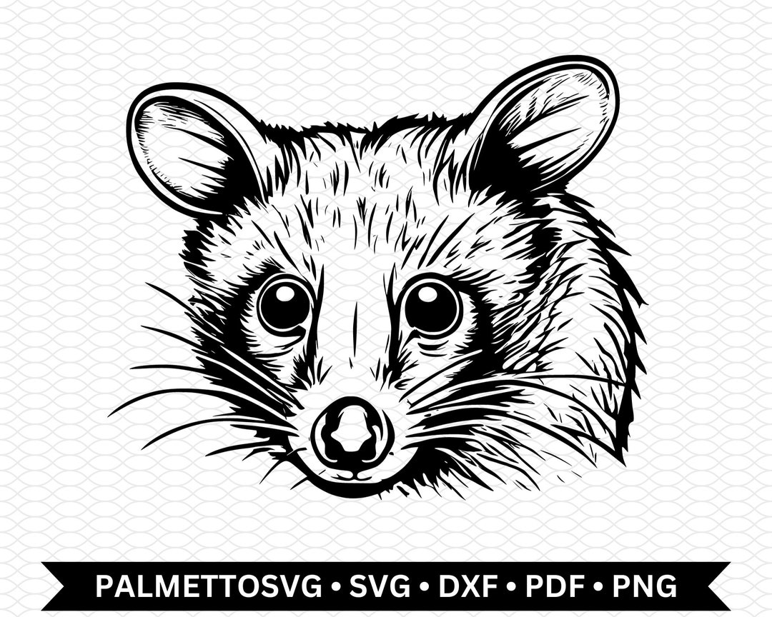 Possum Svg Png, Sublimation Designs, Png Designs, Svg Designs, Laser ...
