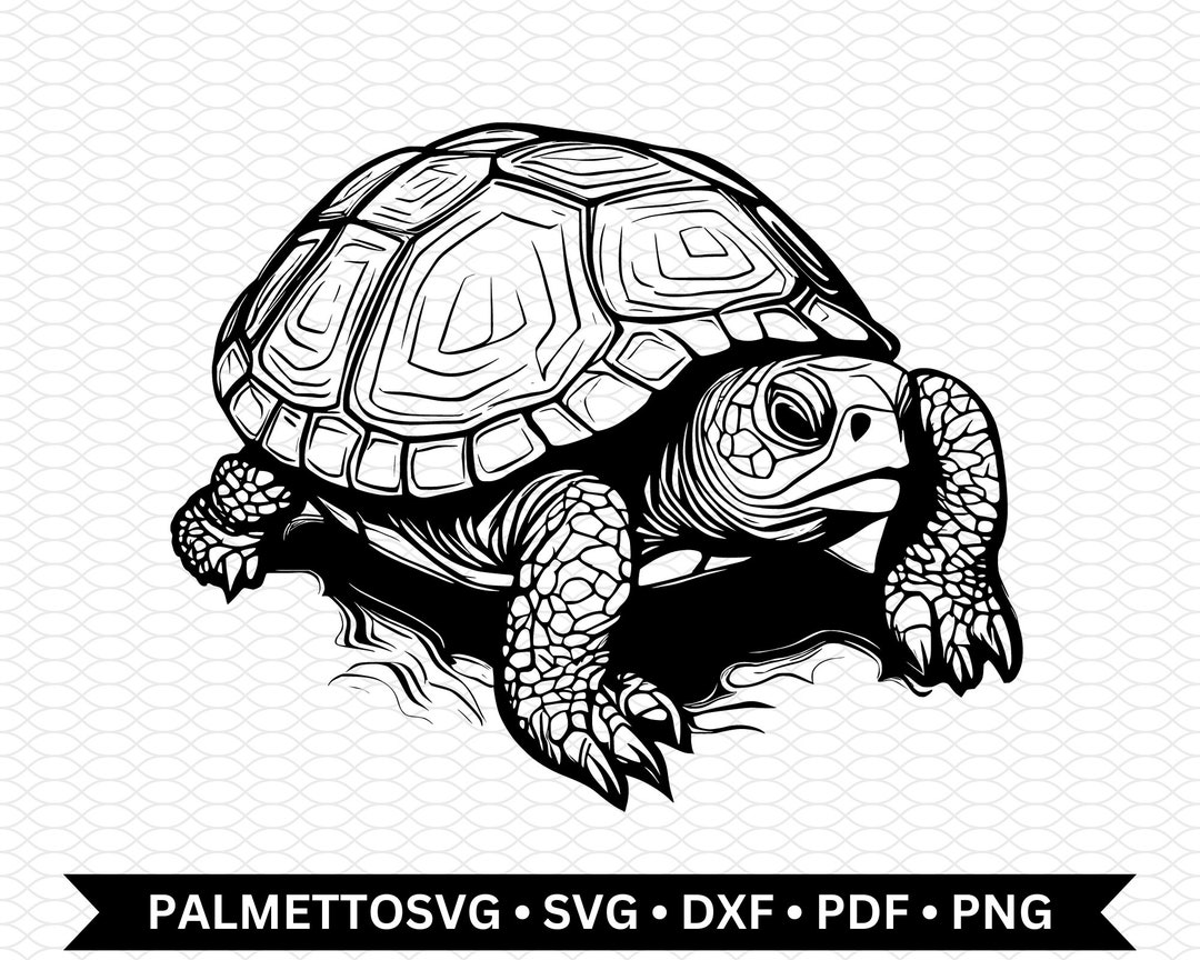 Turtle Svg, Turtle Dxf, Turtle Cut File, Turtle Png, Svg Files for ...