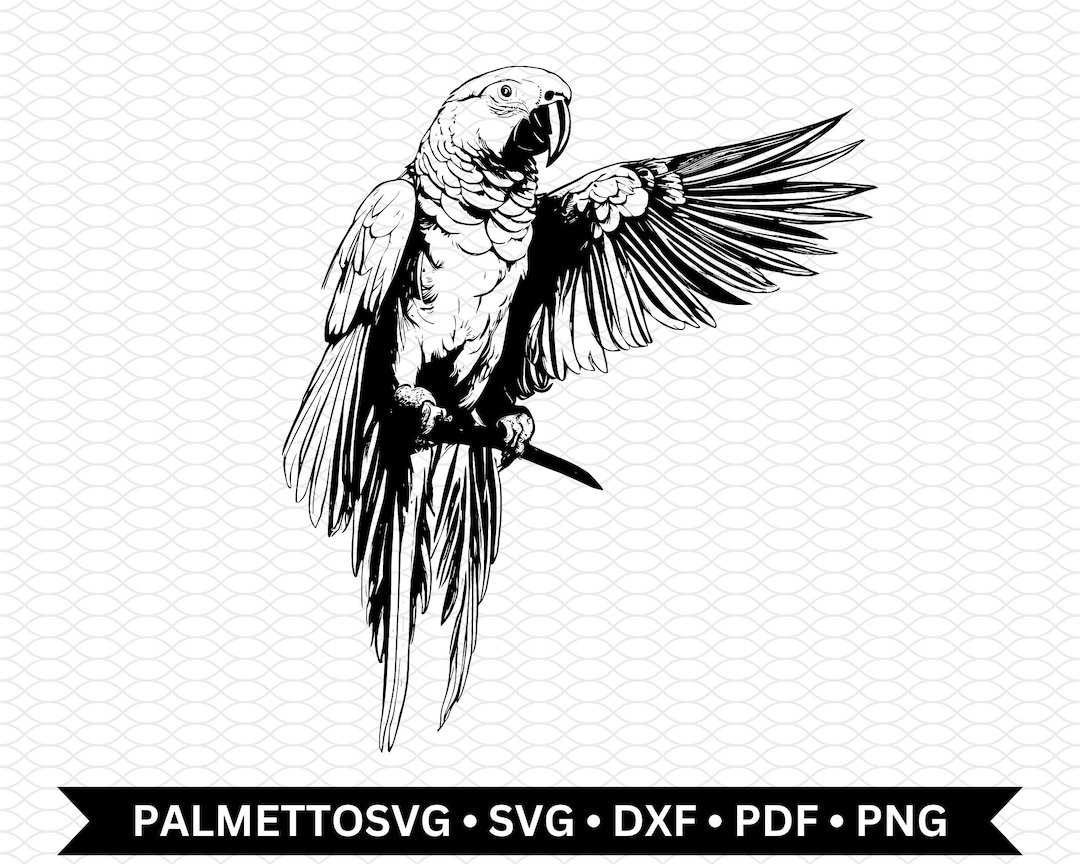 Parrot Svg, Parrot Png, Parrot Squirrel Dxf, Parrot Cut File, Parrot ...