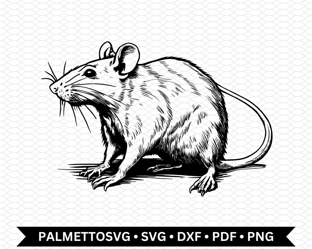 Rat svg, rat dxf file, rat cut file, rat png, rat cut file, svg files ...