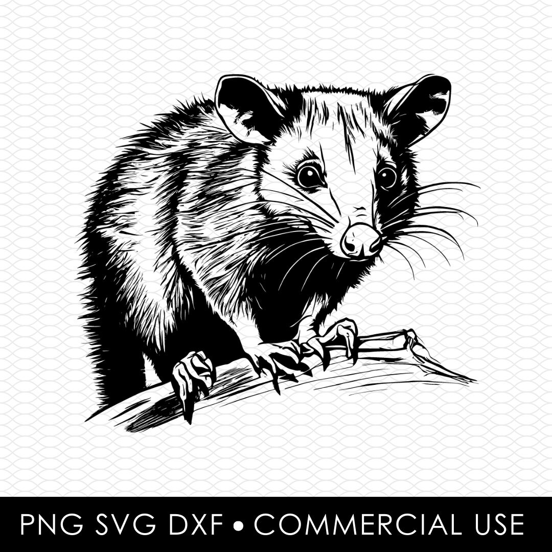 Possum Svg Png, Sublimation Designs, Png Designs, Svg Designs, Laser ...