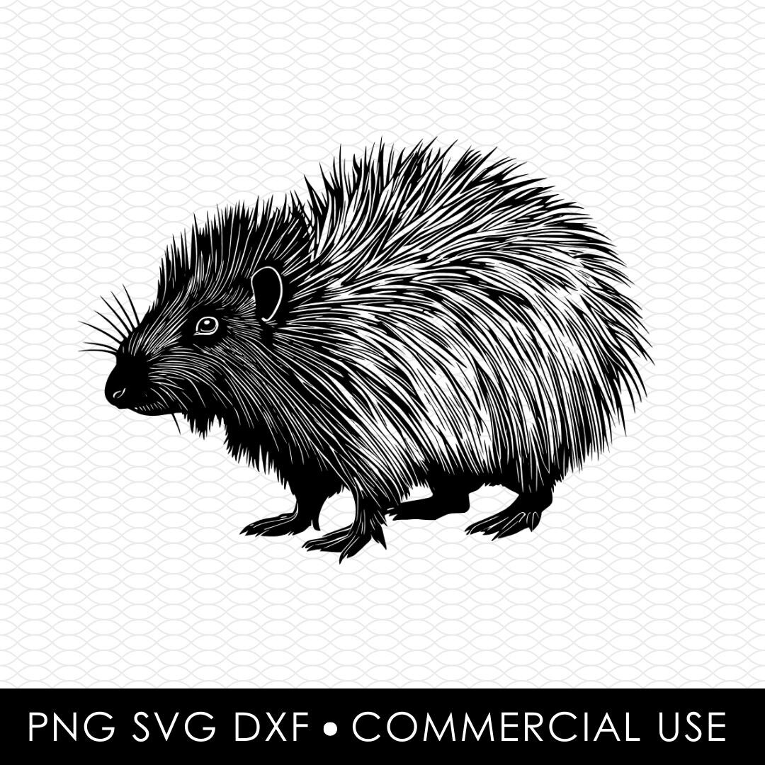 Porcupine Svg Png, Porcupine Svg, Porcupine Png, Sublimation Designs ...