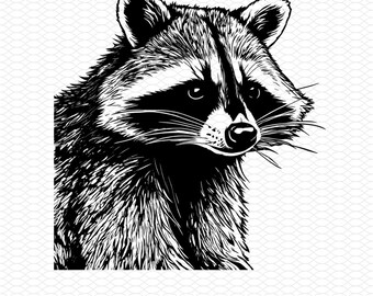 Raccoon SVG Dxf Png Clipart Vector Cricut Cut Cutting Cnc - Etsy Canada