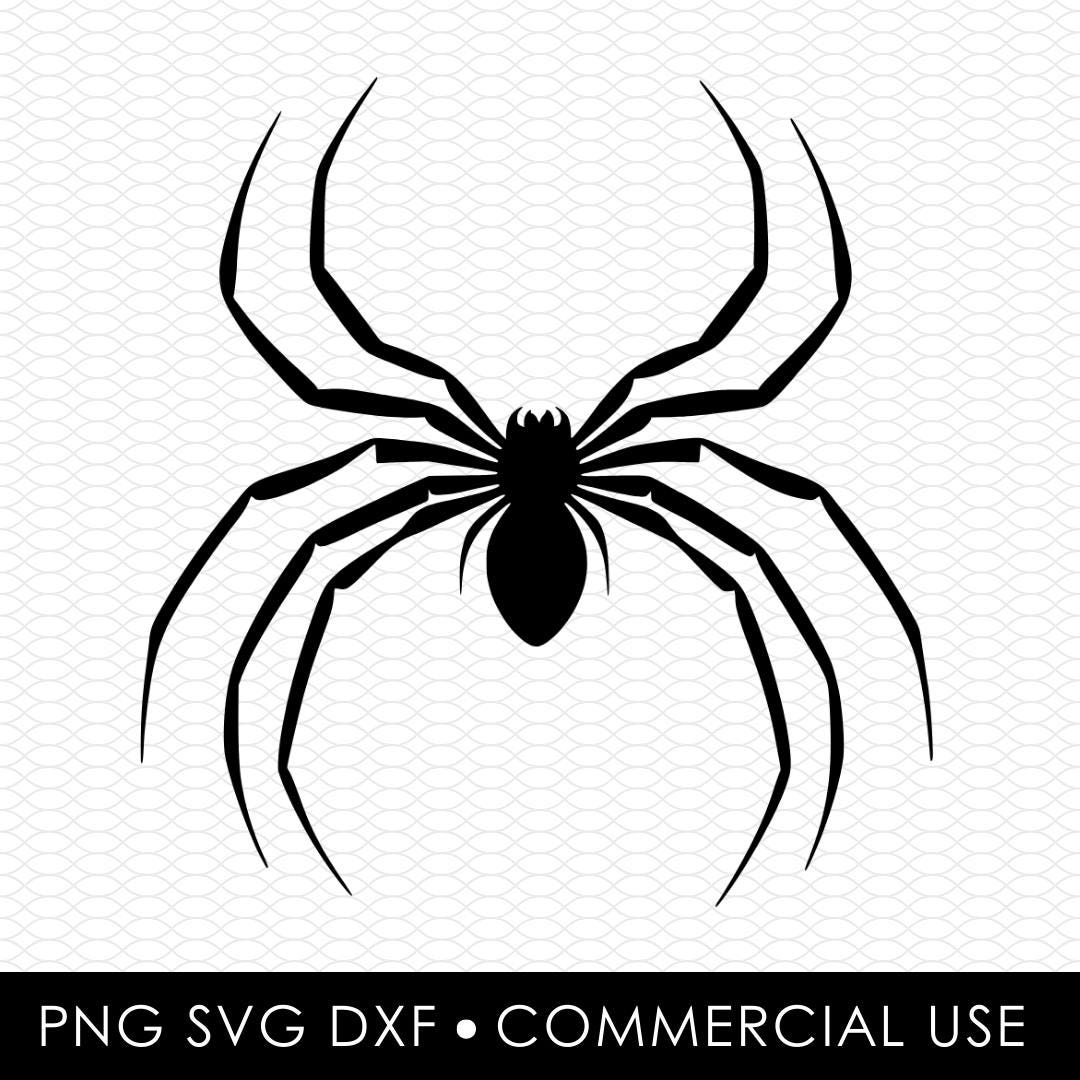 Spider Svg Png, Spider Svg, Spider Png, Sublimation Designs, Png ...