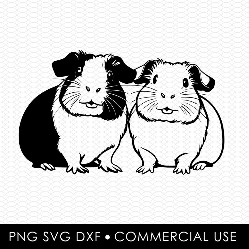 Guinea Pig Iron - Etsy UK