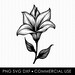 Peace Lily Svg, Peace Lily Png, Sublimation Designs, Png Designs, Svg ...