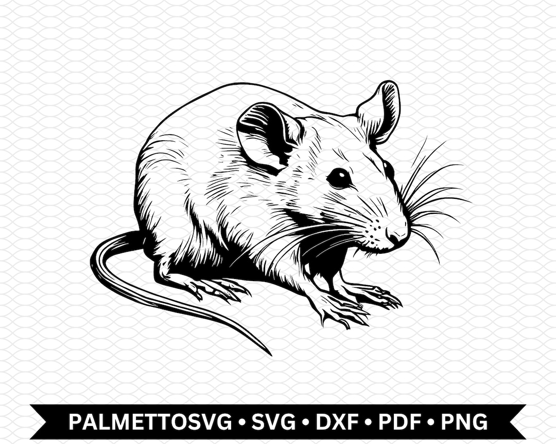Rat Svg Png, Sublimation Designs, Png Designs, Svg Designs, Laser Cut ...