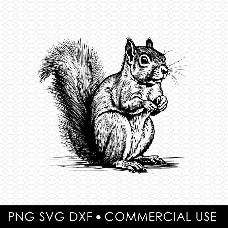 Squirrel Svg - Etsy
