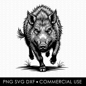 Boar Svg, Boar Png, Boar Sublimation Designs, Png Designs, Svg Designs ...