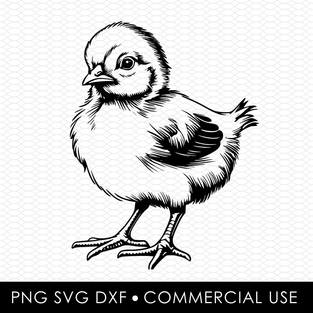 Chick Svg, Chicken Svg, Chick Png, Sublimation Designs, Png Designs ...