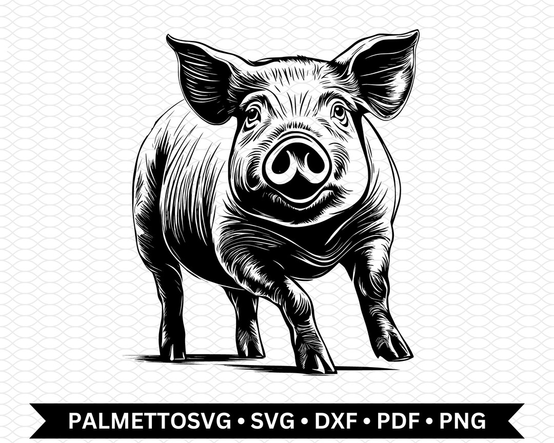 Pig svg, pig png, pig dxf file, pig cut file, pig clip art, cricut ...