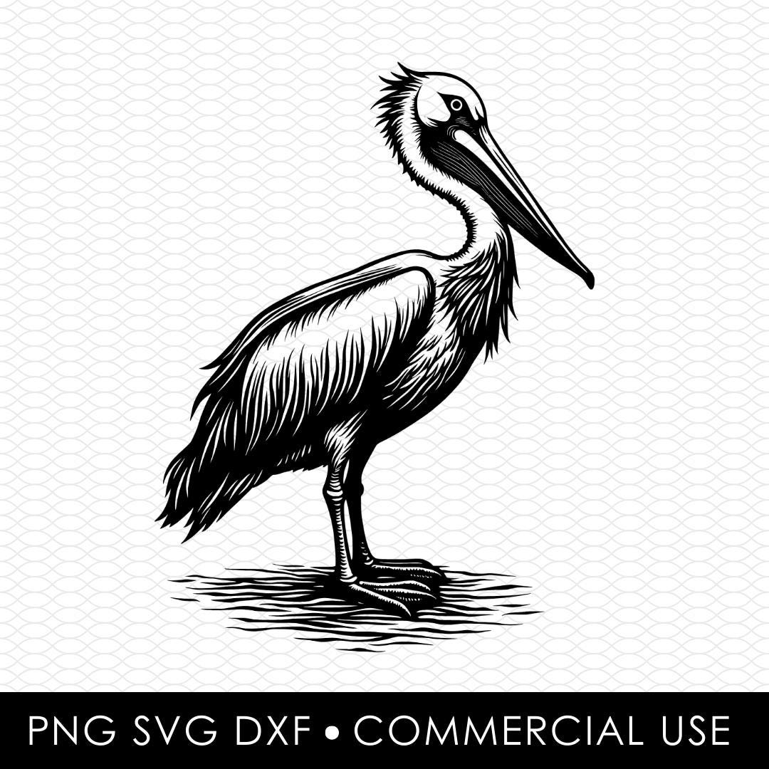 Pelican Svg Dxf Png, Laser Cut File, Sublimation Design, Svg Cut File ...