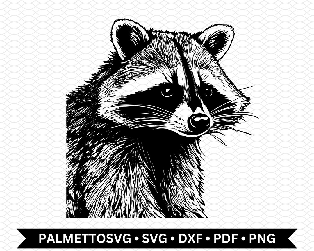 Raccoon Svg, Raccoon Png, Raccoon Dxf File, Raccoon Cut File, Raccoon ...