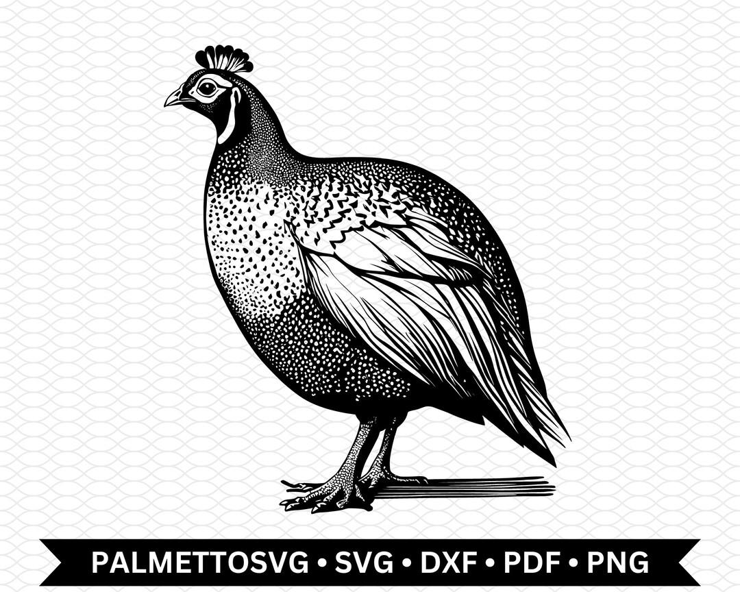 Guinea Fowl Svg Png, Sublimation Designs, Png Designs, Svg Designs ...