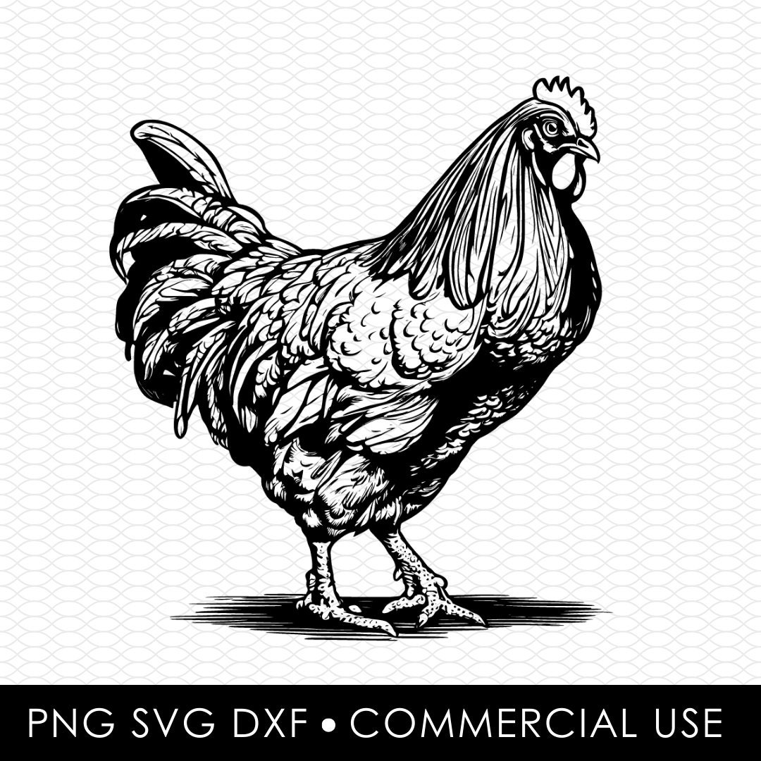 Pollo svg png, diseños de sublimación, diseños png, diseños svg ...