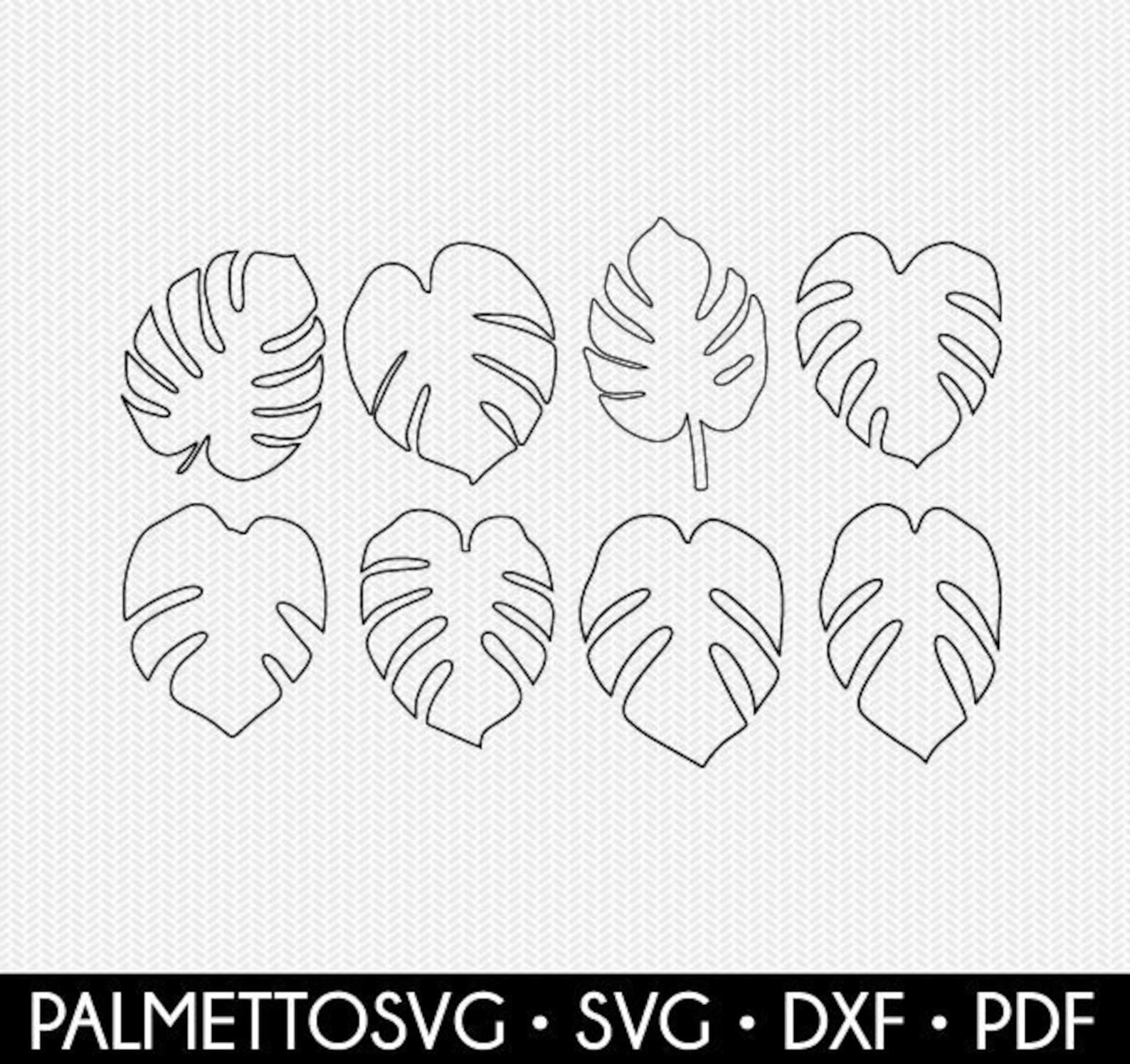 8 Monstera Blatt svg png, Sublimationsentwürfe, png Designs, svg ...
