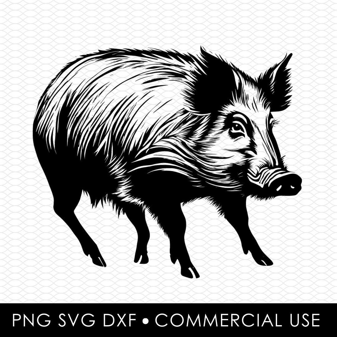 Jabalí svg png, diseños de sublimación, diseños png, diseños svg ...