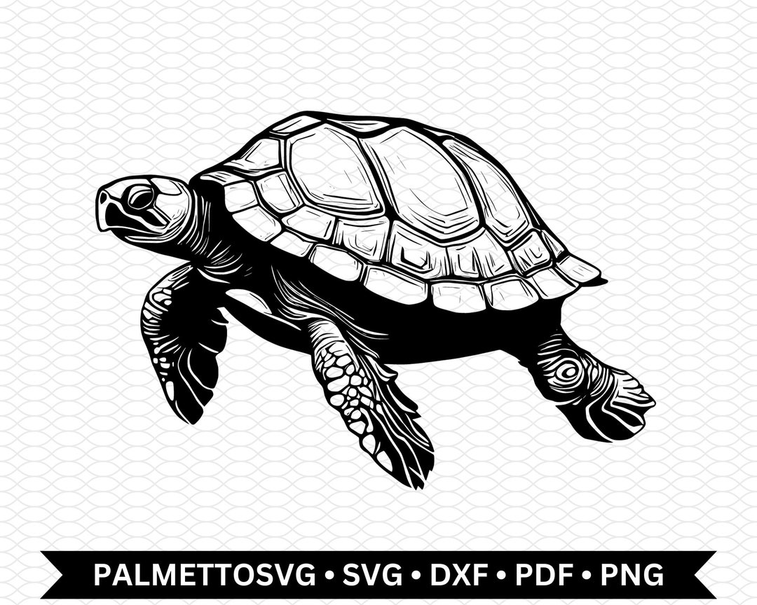 Turtle Svg, Turtle Dxf, Turtle Cut File, Turtle Png, Svg Files for ...