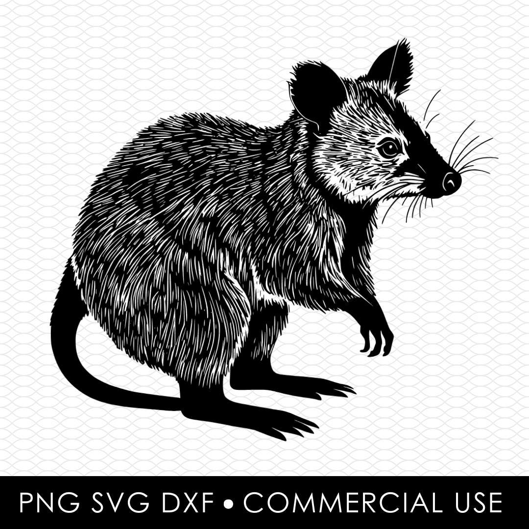 Possum svg png, possum svg, possum png, possum dxf, designs de ...