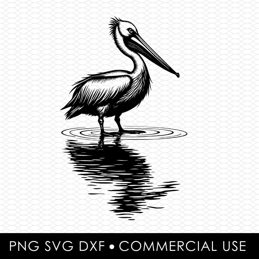 Pelican Svg, Pelican Png, Pelican Sublimation Designs, Png Designs, Svg ...