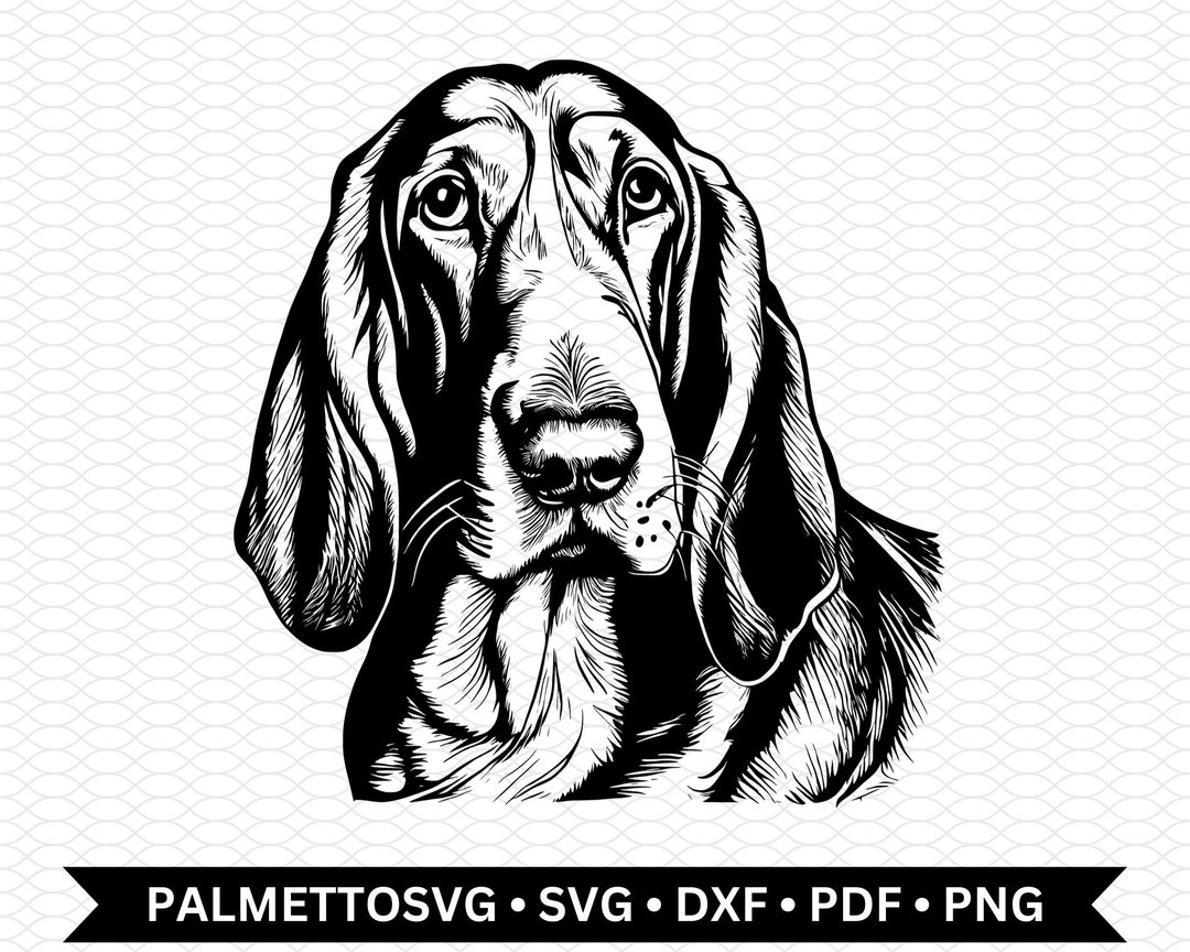 Basset Hound Svg, Basset Hound Dxf File, Basset Hound Cut File, Basset ...