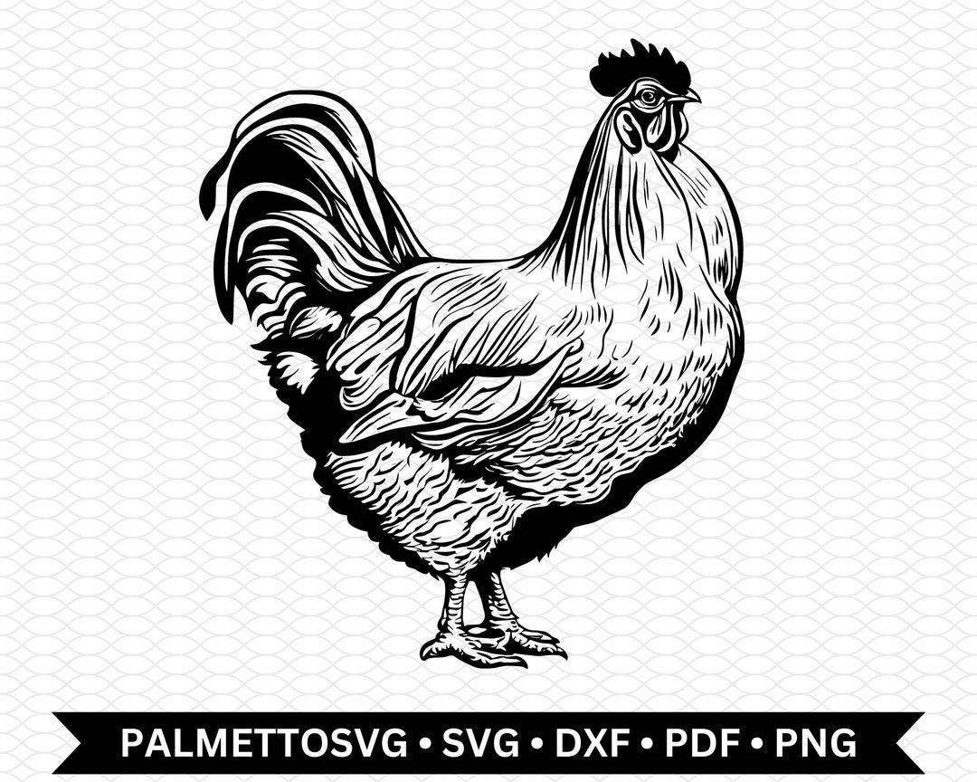 Pollo svg png, diseños de sublimación, diseños png, diseños svg ...