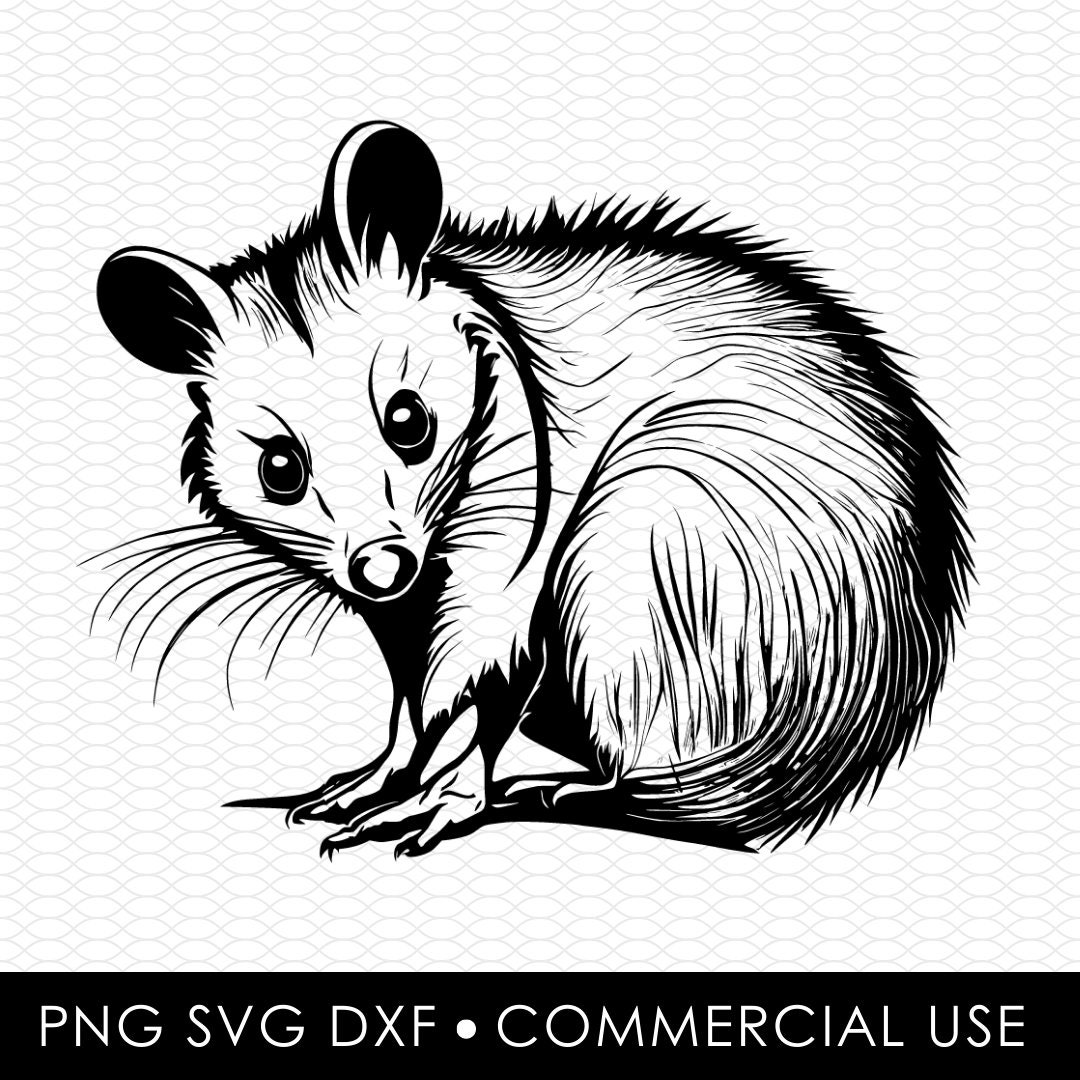 Possum Svg Png, Sublimation Designs, Png Designs, Svg Designs, Laser ...