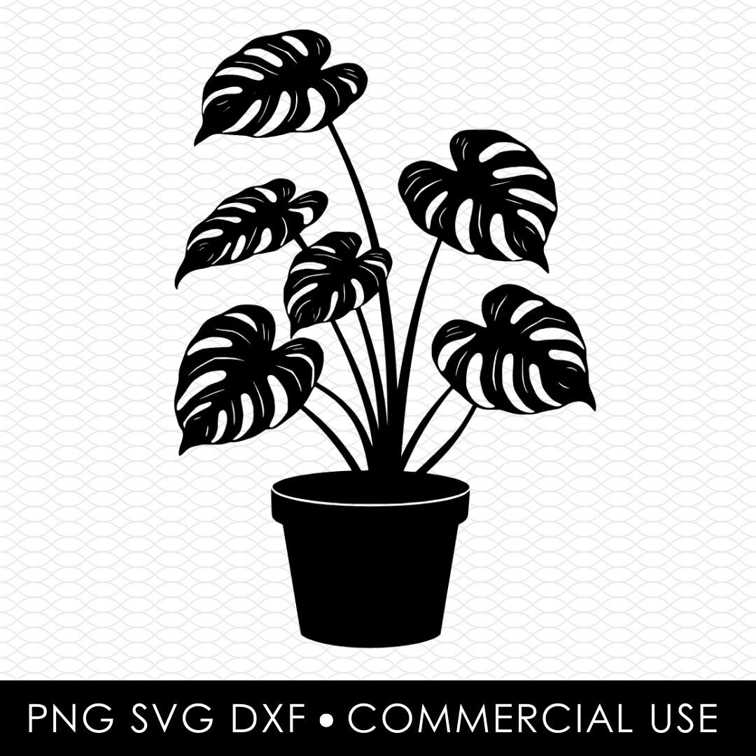 Monstera Svg, Monstera Png, Monstera Sublimation Designs, Png Designs ...