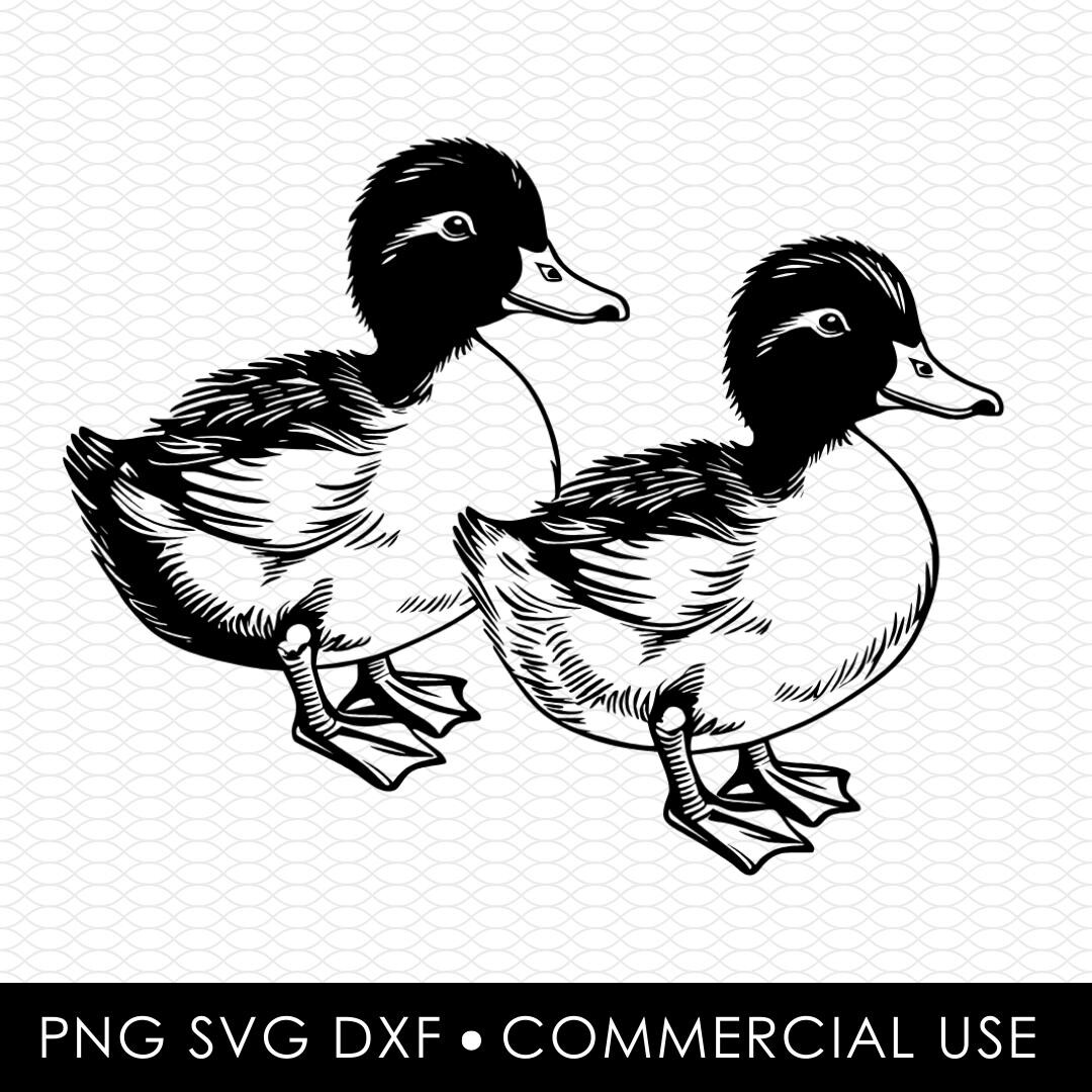 Pato svg png, pato svg, pato png, diseños de sublimación, diseños png ...