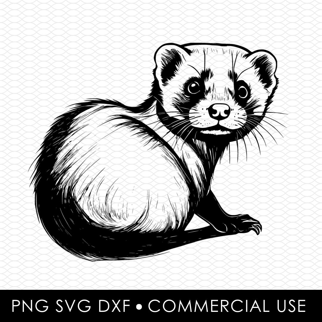 Ferret Svg, Ferret Png, Sublimation Designs, Png Designs, Svg Designs ...