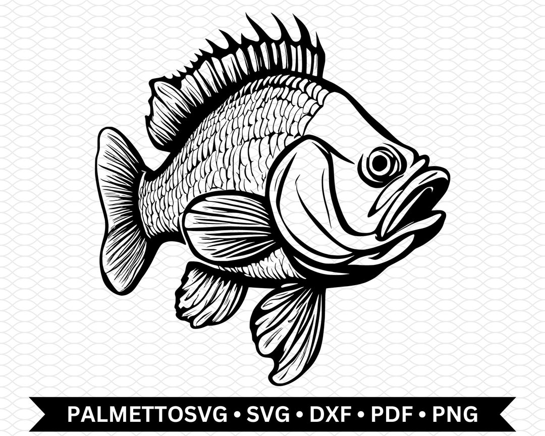 Bass Svg, Fish Svg, Bass Dxf File, Bass Cut File, Bass Clip Art, Cricut ...