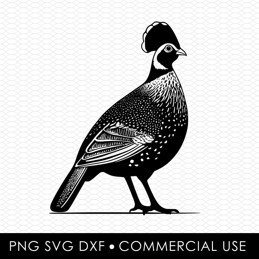Quail Svg Png, Sublimation Designs, Png Designs, Svg Designs, Laser Cut ...