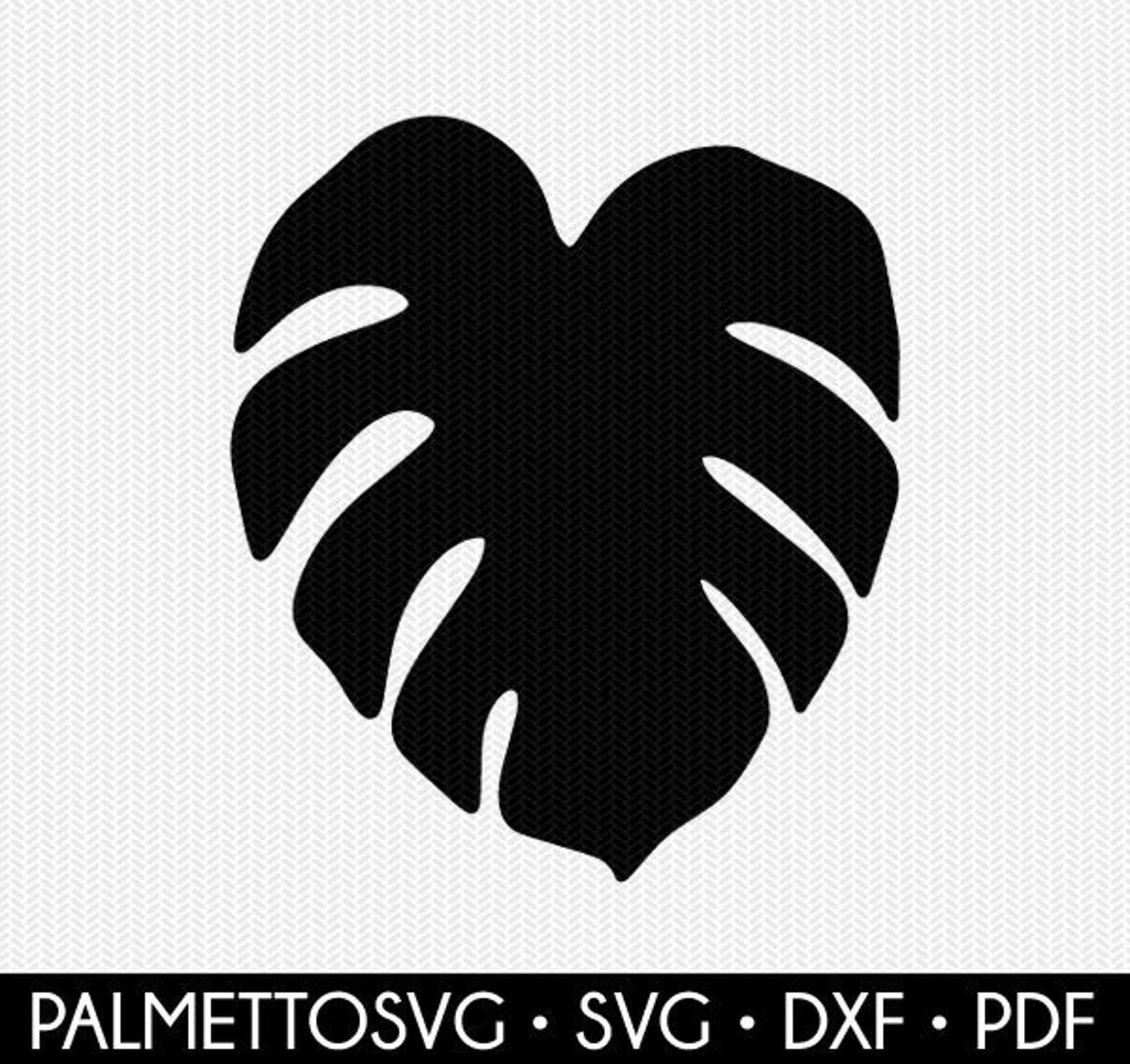 Monstera Svg Monstera Dxf Monstera Cut File Leaf Svg Plant - Etsy