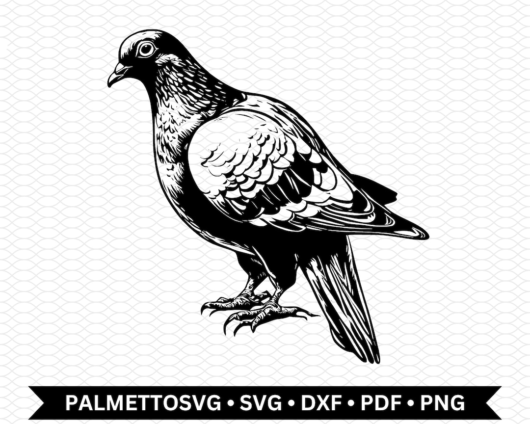 Pigeon svg, pigeon dxf, pigeon cut file, pigeon png, pigeon clip art ...