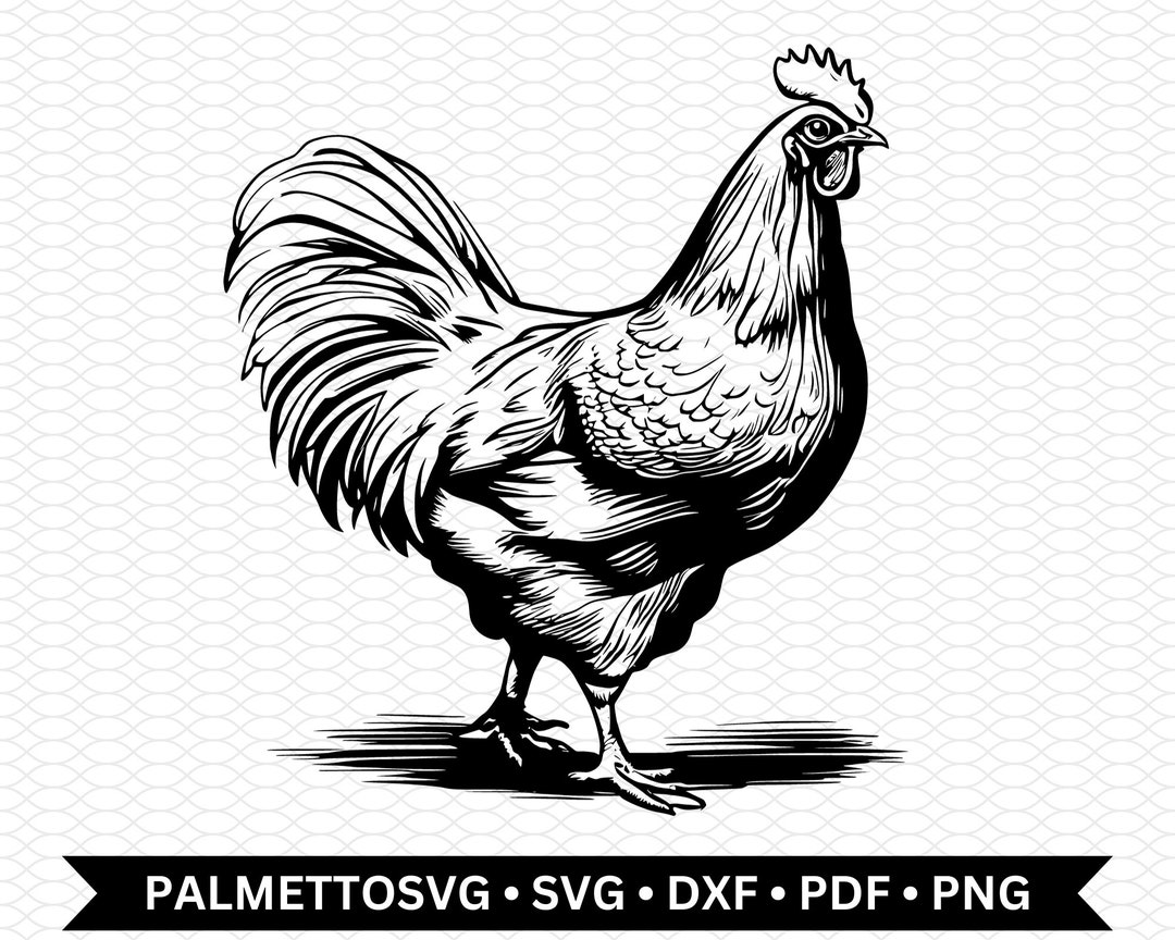 Chicken Svg, Chicken Cut File, Chicken Clip Art, Chicken Dxf, Dxf File ...
