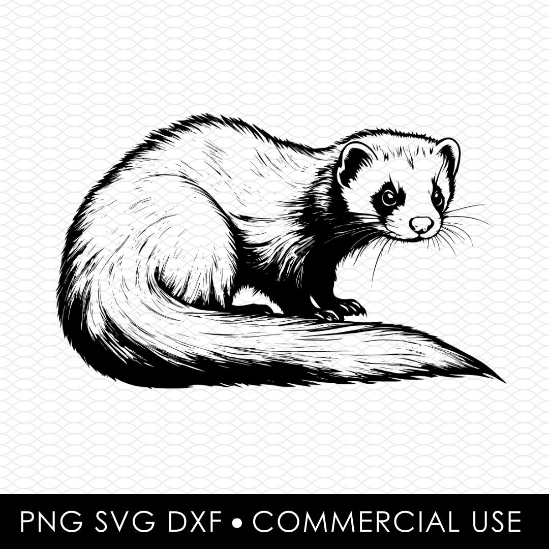 Ferret Svg Dxf Png, Laser Cut File, Sublimation Design, Svg Cut File ...