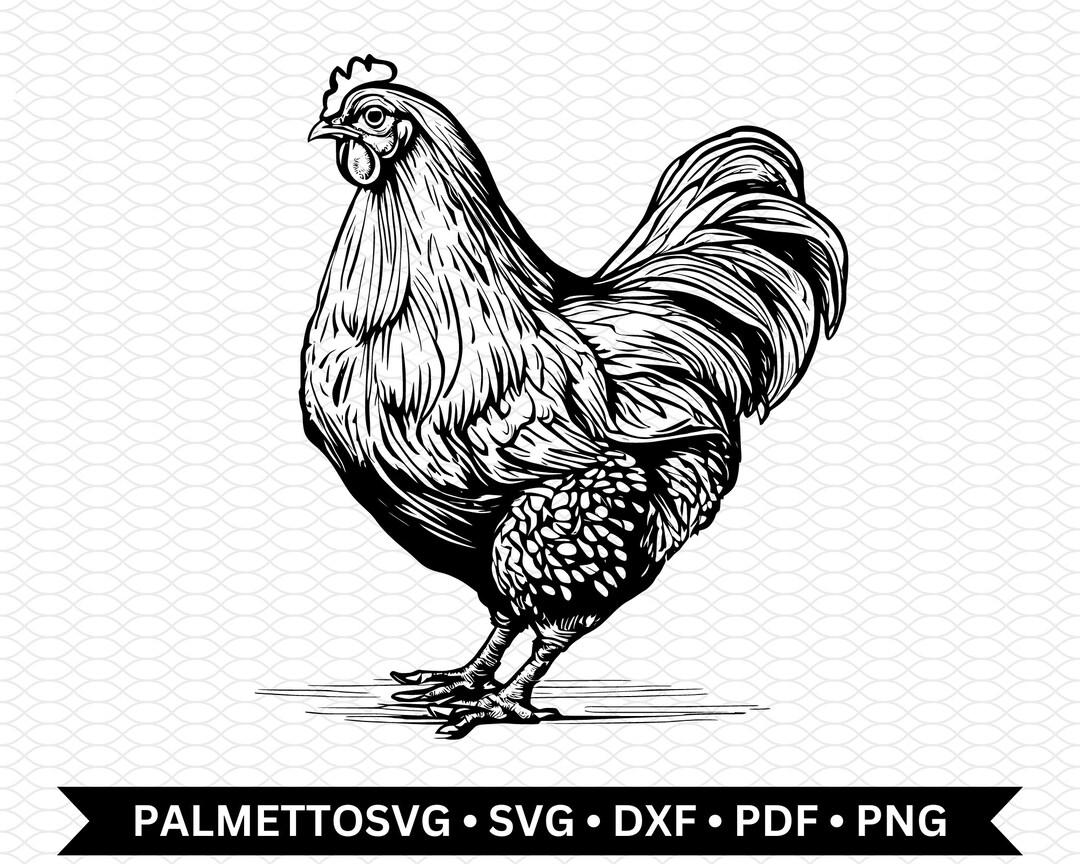 Chicken Svg, Chicken Cut File, Chicken Clip Art, Chicken Dxf, Dxf File ...