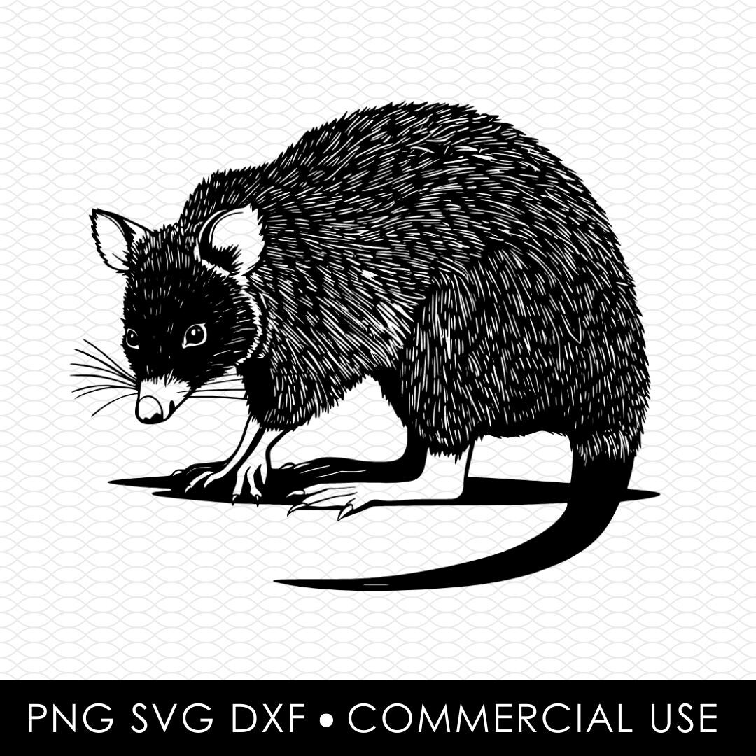 Possum Svg Png, Possum Svg, Possum Png, Possum Dxf, Sublimation Designs ...