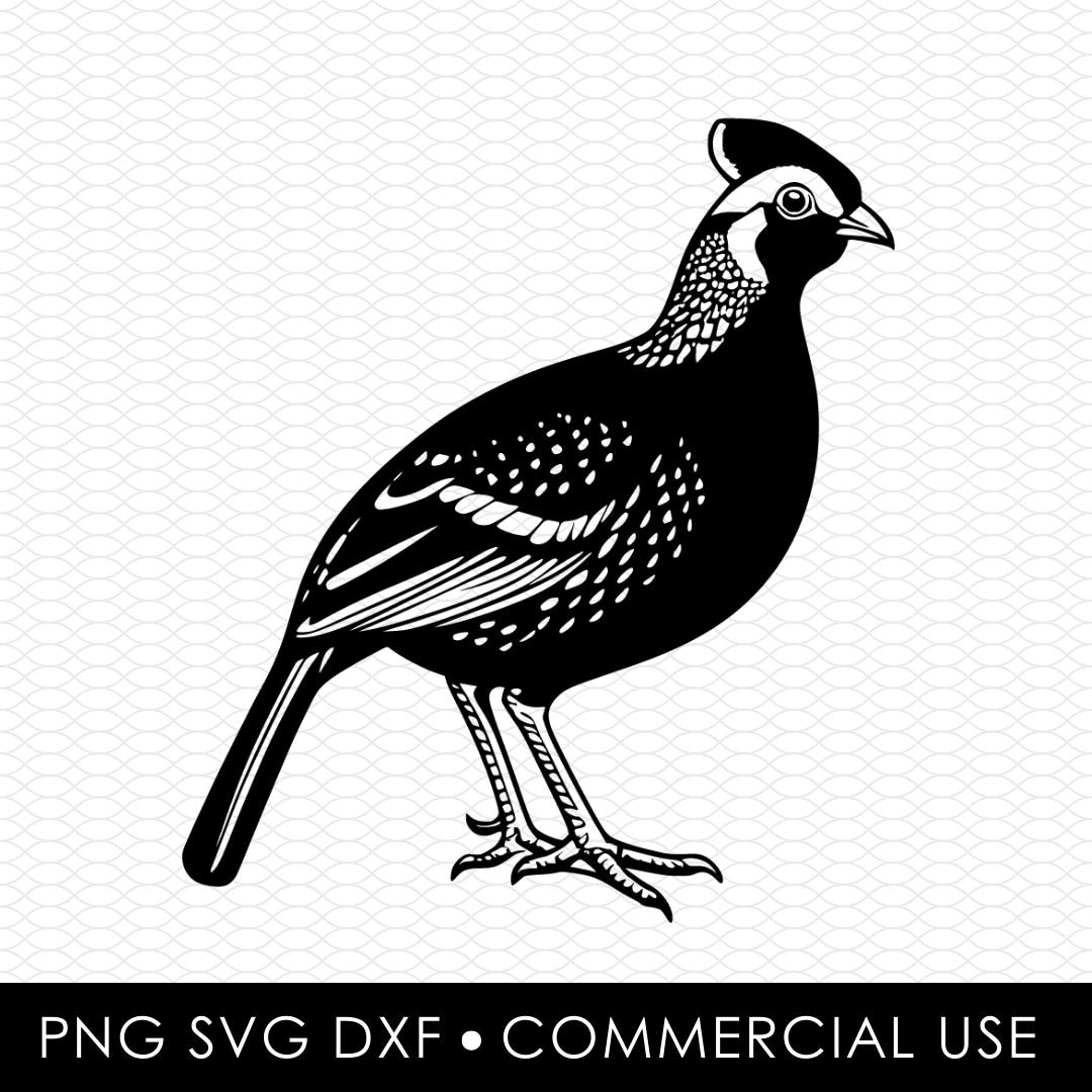 Quail Svg Png, Sublimation Designs, Png Designs, Svg Designs, Laser Cut ...