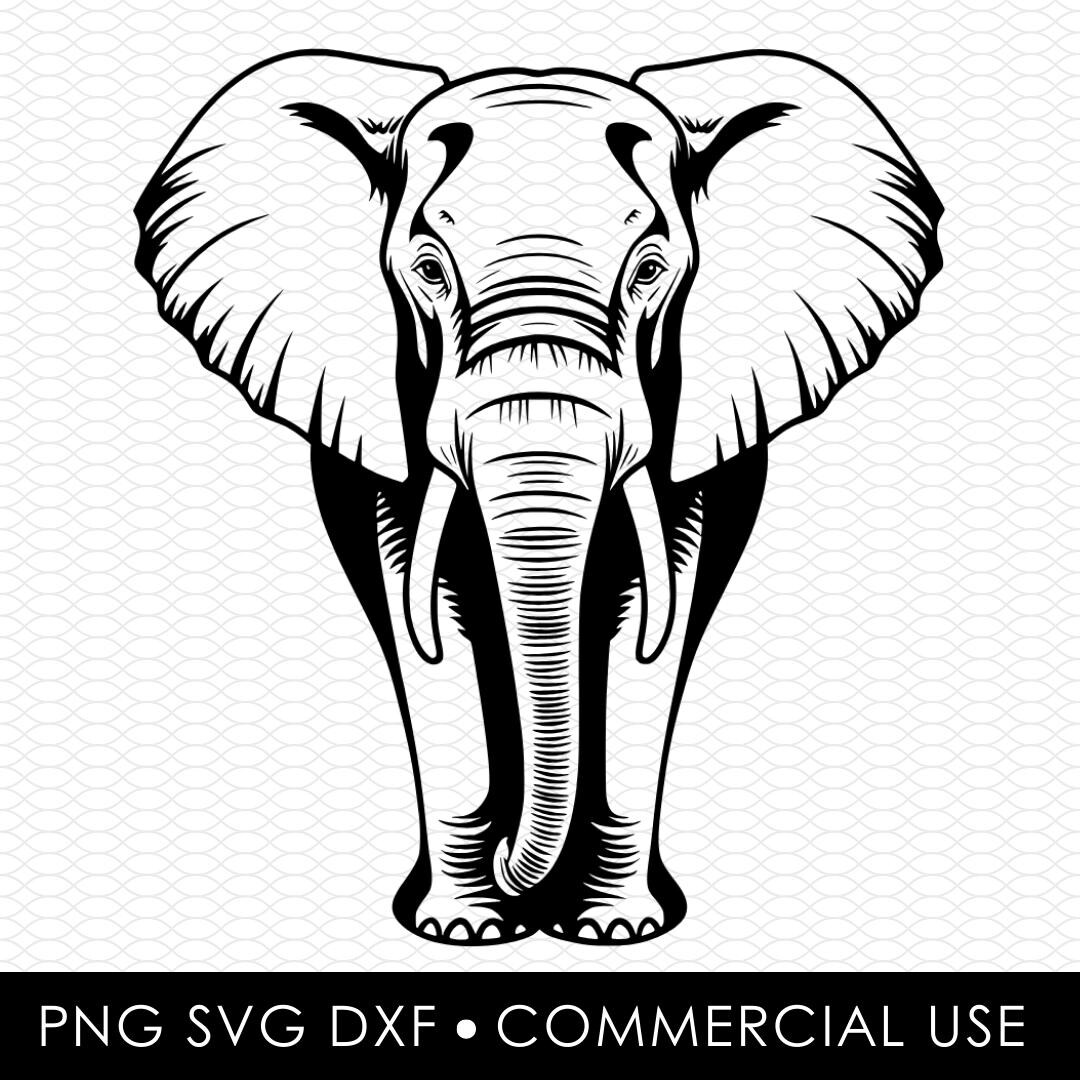 Elephant Svg Png, Elephant Svg, Elephant Png, Sublimation Designs, Png ...
