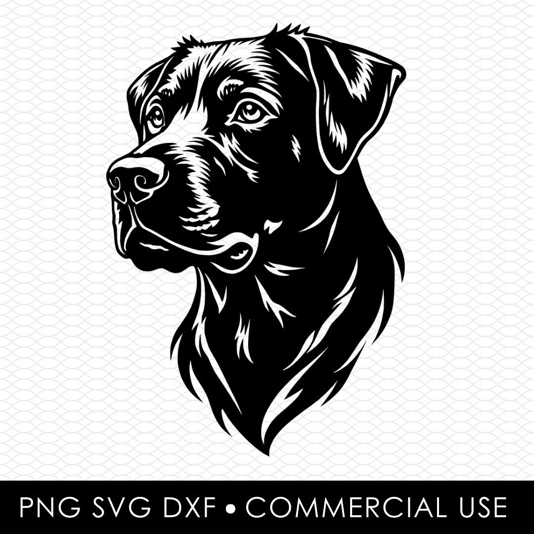 Labrador Svg, Labrador Png, Labrador Cut File, Lab Dxf, Sublimation ...