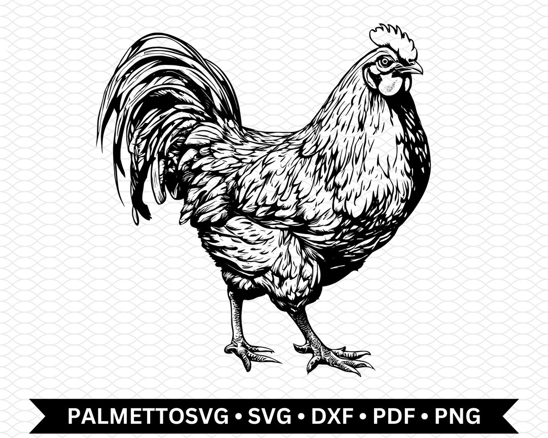 Chicken Svg, Chicken Cut File, Chicken Clip Art, Chicken Dxf, Dxf File ...